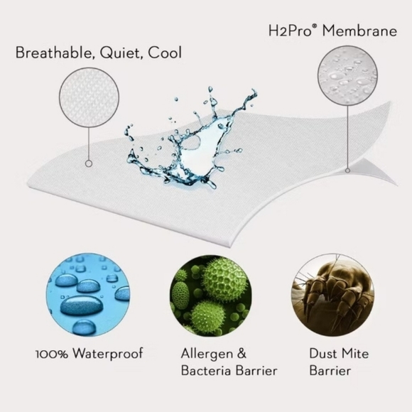 Bedding | Prime Terry Waterproof Mattress Protector 10 Cotton Terry ...